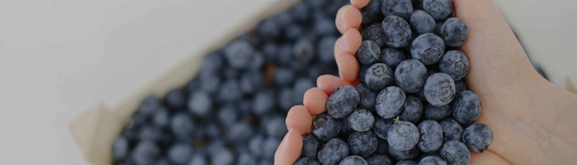 10 heart-friendly foods for cardiovascular health - Nutrium Blog